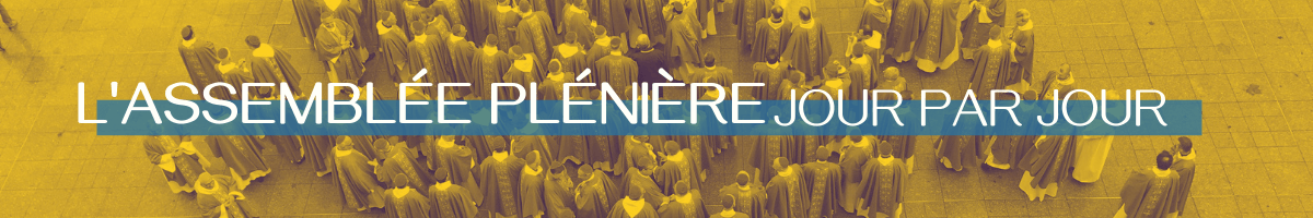 Assemblée Plénière Novembre 2020 Jour 3