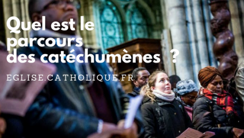Définition : Catéchumène - Église catholique en France