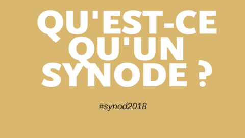 Définition : Synode d'évêques - Église catholique en France