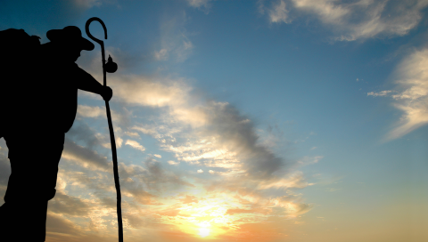 Définition : Chapelain - Église catholique en France