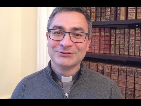 Définition : Vicaires épiscopaux - Église catholique en France